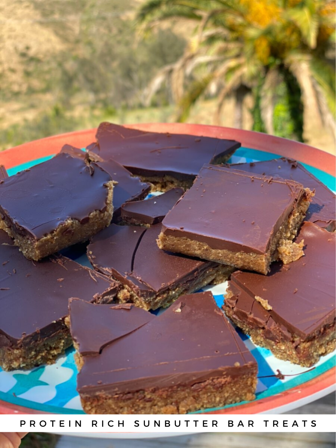 Protein Rich Sunbutter Bar Treats - Natalie Jill Fitness
